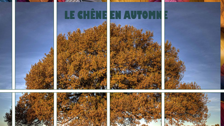 L AUTOMNE MS GS - Sciences Grande Section, Moyenne Section - La Salle ...