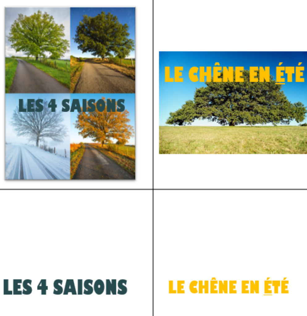 L AUTOMNE MS GS - Sciences Grande Section, Moyenne Section - La Salle ...