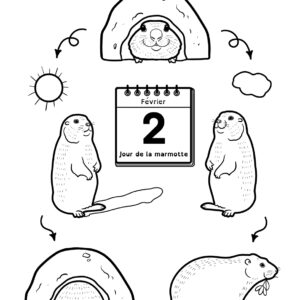 Le jour de la Marmotte - Geographie, Lecture CE1, CE2, CP - La Salle ...